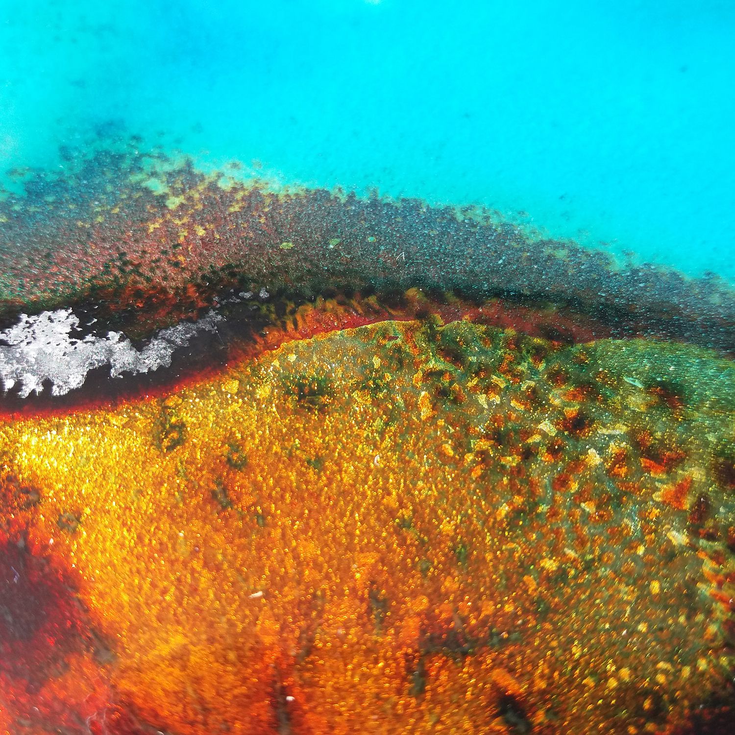 Wall composition - KOKKINI - Other wall decoration - ANNE DE LA FORGE - ÉMAILLEUR D'ART - Glass ...