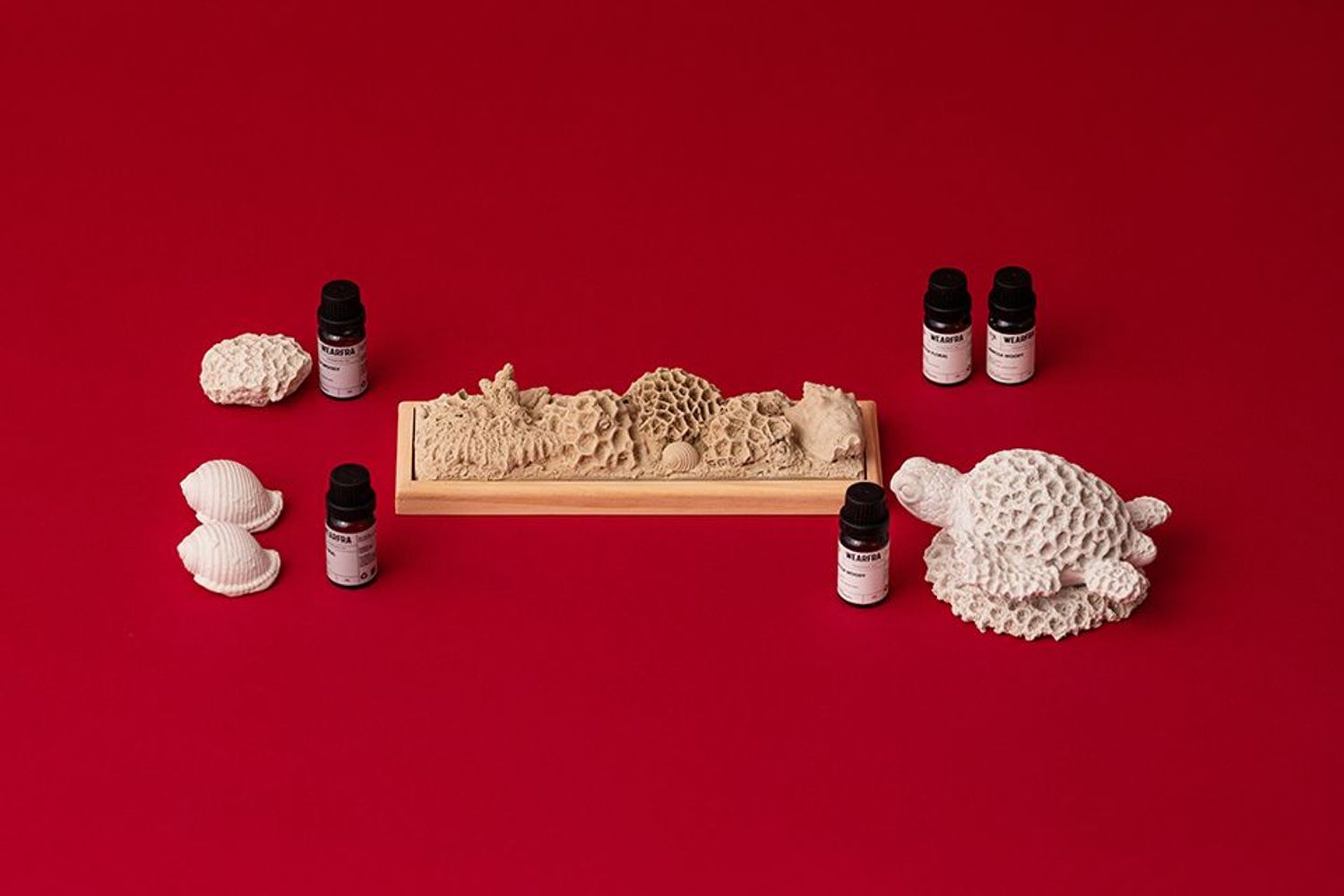 Shell Diffuser Gift Box - Cadeaux - TAIWAN CRAFTS & DESIGN - Autre | MOM